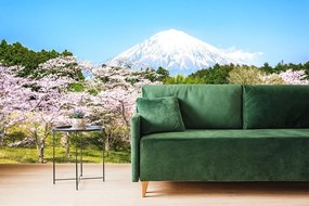 Samolepící fototapeta sopka Fuji - 225x150 cm