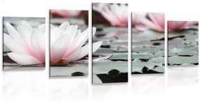 5-dílný obraz lotosový květ - 200x100 cm