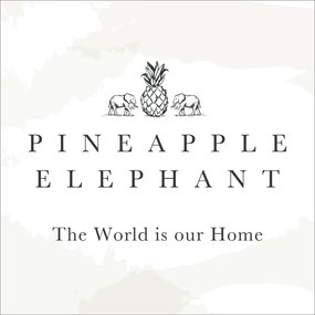 Béžové povlečení na dvoulůžko 200x200 cm Casablanca Pinsonic – Pineapple Elephant