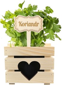 AMADEA Dřevěný zápich - cedulka na bylinky Koriandr, výška 20 cm, český výrobek
