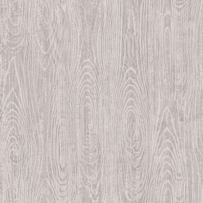 Metalická stříbrná /šedobéžová vliesová tapeta na zeď, imitace dřeva 347555, Matières - Wood, Origin
