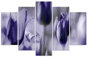 Obraz na plátně pětidílný Tulipán květ fialový - 200x100 cm
