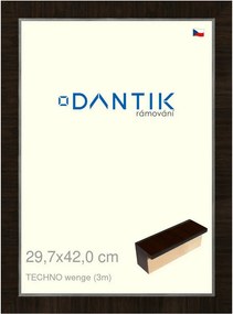 DANTIK rámeček 29,7x42 | TECHNO wenge (Plexi Čiré)