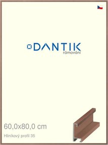 DANTIK rámeček 60x80 | ALU profil 6035 Dýha ořech (Plexi Čiré)