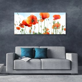 Plexisklo-obraz Květiny Máky Louka Pole Příroda 125x50 cm