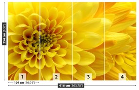Fototapeta Žlutý květ 104x70