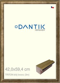 DANTIK rámeček 42x59,4 | TRITON bílý bronz (Plexi Čiré)