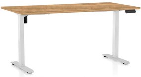 Výškově nastavitelný stůl OfficeTech B, 160 x 80 cm, bílá podnož, dub zlatý