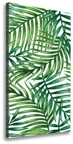 Wallmuralia Vertikální Foto obraz canvas Listí palmy 50x100
