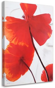 Obraz na plátně Mák Květina Červená příroda - 80x120 cm
