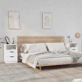vidaXL Noční stolky 2 ks kompozitní dřevo [856845] Barva: Bílá