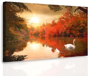 Malvis ® Obraz - Plující labuť Velikost: 90x60 cm