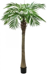 Umělá květina - Phoenix palma Luxor, 210 cm