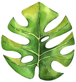 Ilustrace Watercolor hand painted green tropical leaves,, DZHAMILIA ABDULAEVA
