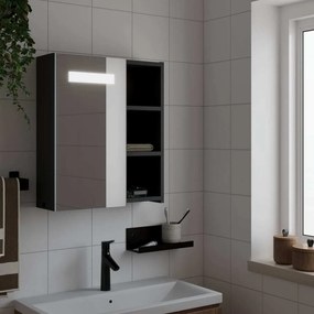 vidaXL Koupelnová zrcadlová skříňka s LED osvětlením 45x13x52 cm [357968] Barva: Černá