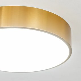 Brilagi - LED Koupelnové stropní svítidlo POOL LED/24W/230V pr. 30 cm IP54 bronz