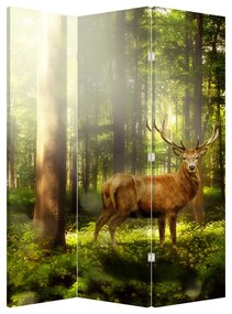 Paraván - Jelen v lese (135 x 180 cm)