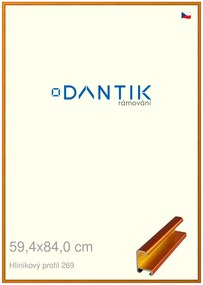 DANTIK rámeček 59,4x84 | ALU profil 7269 Oranžová Citrin broušená (Plexi Čiré)