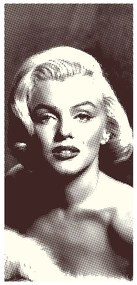 Fototapeta na dveře - Marilyn Monroe (95x205cm)