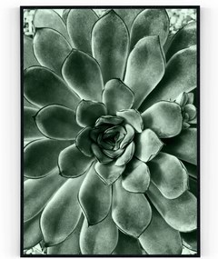 Plakát / Obraz Kaktusový květ S okrajem Pololesklý saténový papír 210 g/m² A4 - 21 x 29,7 cm