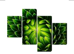 Vícedílný obraz Zelená Rostlina V Makro Měřítku Nedostatek Nedostatek Plátno Canvas 120x75