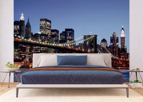 Fototapeta na zed' Výhled na Brooklynský Most | 360 x 254 cm | DFTS0107