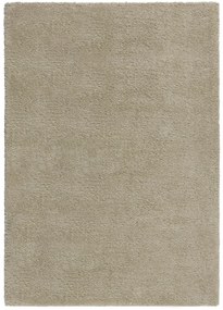 Flair Rugs koberce Kusový koberec Shaggy Teddy Natural Rozměry koberců: 160x230