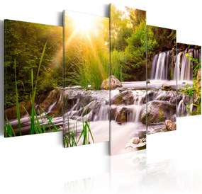 Obraz - Forest Waterfall