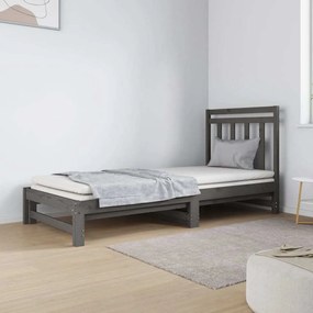 vidaXL Výsuvná postel 2x (90 x 190) cm masivní borovice [3124761] Barva: Šedá