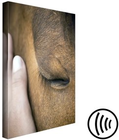 Obraz Uklidňující dotek (1-dílný) svislý - ruka hladící hnědého koně