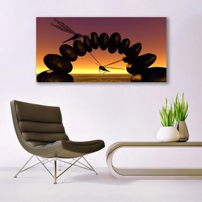 akrylový obraz Vážky Kameny Umění 120x60 cm