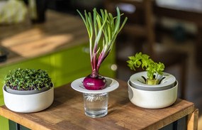 Klíčící miska Regrow, slonová kost s kávovou sedlinou