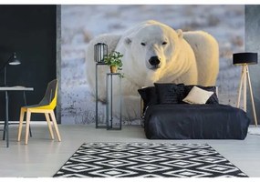 DIMEX | Samolepicí vliesová fototapeta na zeď Lední medvěd MA-5-0220 | 375 x 250 cm | bílá, šedá