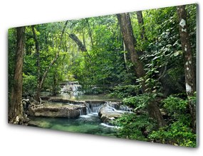 Obraz na skle Lesní Les Příroda 125x50 cm
