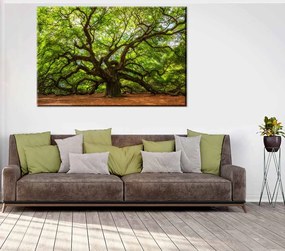 Malvis ® Obraz Andělský dub Velikost (šířka x výška): pětidílné schody - 150x75 cm