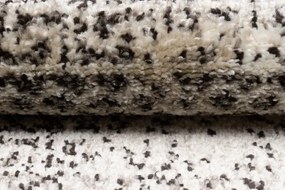 Luxusní kusový koberec Cosina Petty PR0190 - 120x170 cm