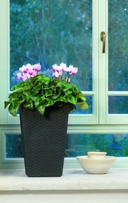 Keter Rattan planter S - hnědý