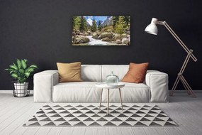 Obraz na plátně Hora Les Kameny Řeka 125x50 cm