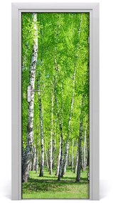 Fototapeta na dveře samolepící břízový les 85x205 cm