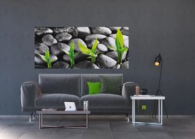 Vliesová fototapeta na zed' Lávové Kamene a Bambus | 202 x 90 cm | DFTNH2719