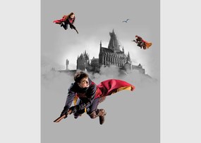 Dětská vliesová fototapeta na zed' Harry Potter | 225 x 270 cm | DFTD3P5167