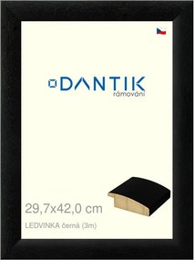 DANTIK rámeček 29,7x42 | LEDVINKA černá (Plexi Čiré)