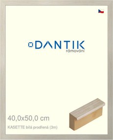 DANTIK rámeček 40x50 | KASSETTE bílá prodřená (Sklo Čiré)