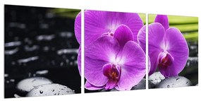 Obraz orchidejí (90x30 cm)