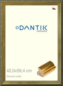 DANTIK rámeček 42x59,4 | ANIVERSA zlatá (Plexi Čiré)