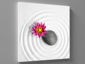 Liox Obraz růžový leknín zen Rozměr: 40 x 40 cm