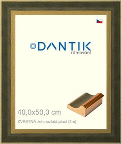 DANTIK rámeček 40x50 | ZVRATNÁ zelenozlatá plast (Sklo Čiré)