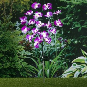Haushalt international Solární zahradní zápich Orchidej
