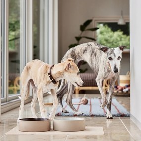 Keramická miska pro psa ø 17 cm Sia – OYOY Living Design