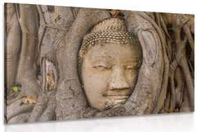 Obraz Budhů posvátný fíkovník Varianta: 60x40